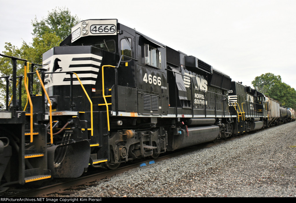 NS 4666